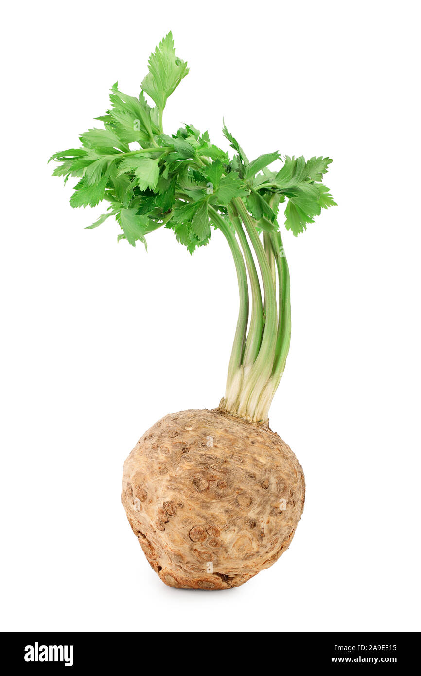 Fresh celery root with leaf isolated on white background Stock Photo ...