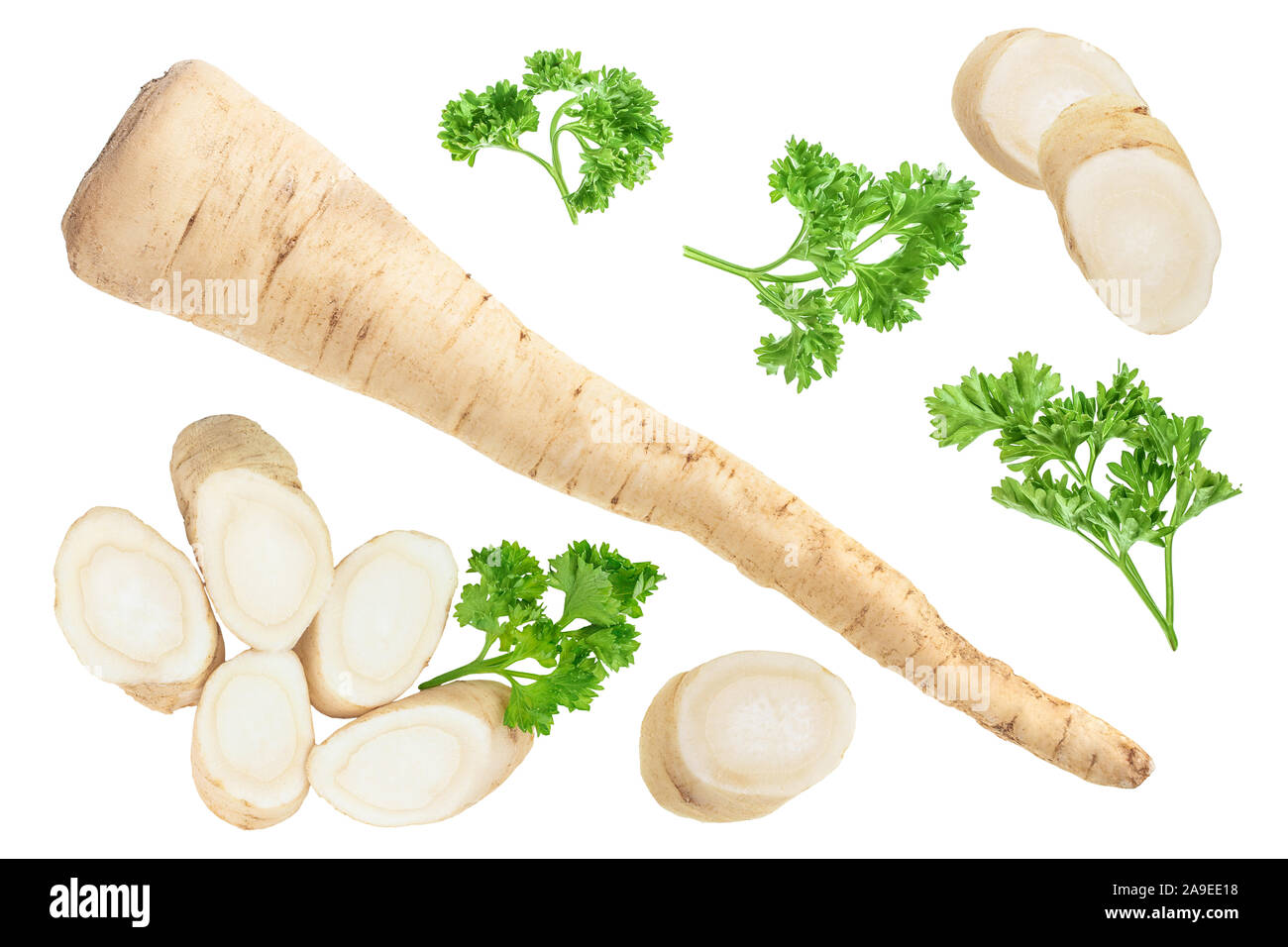 Parsley root with leaves isolated on white background, Top view. Flat ...