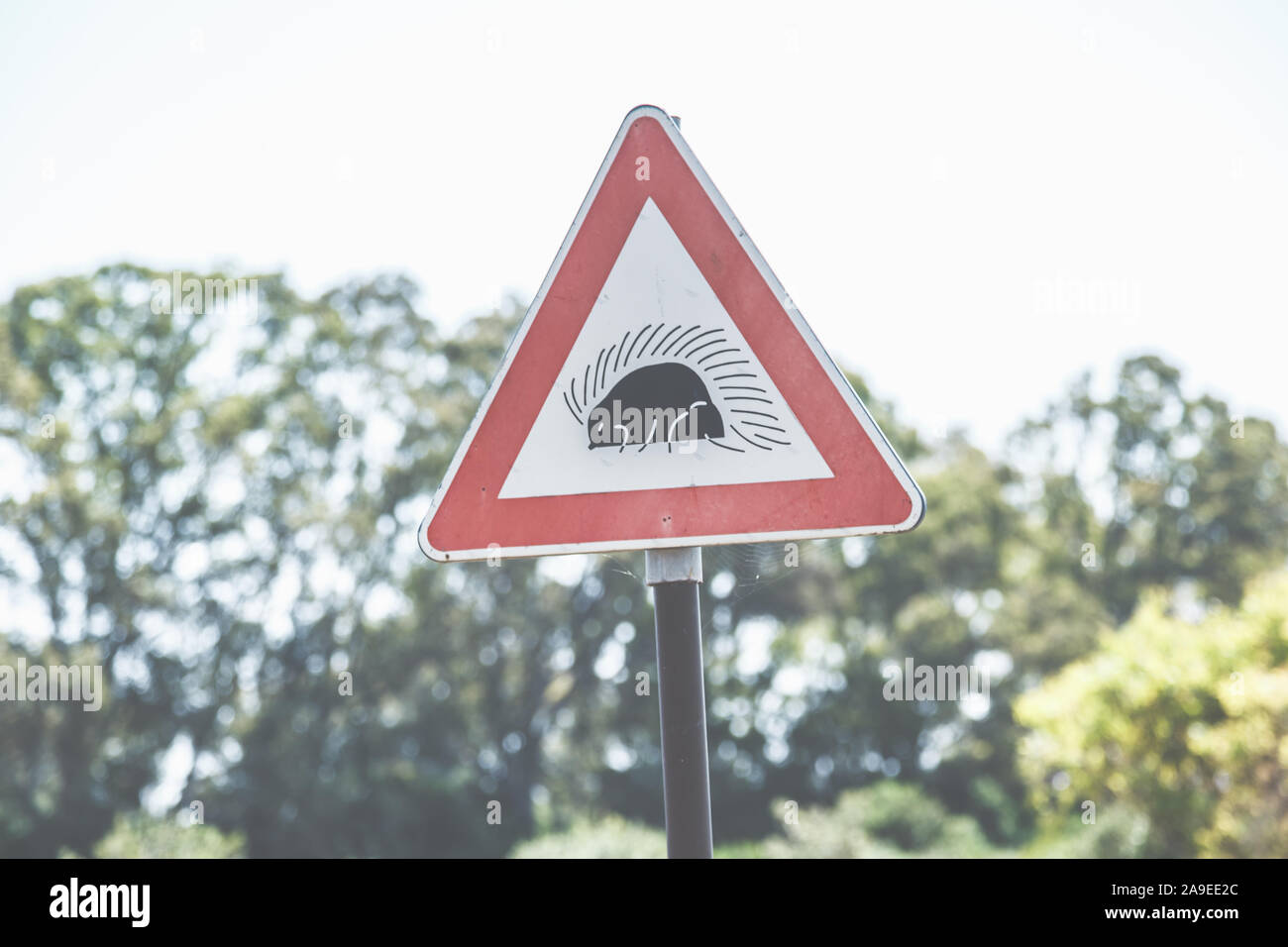 A sign with a warning before animals running over the street: Porcupine ...