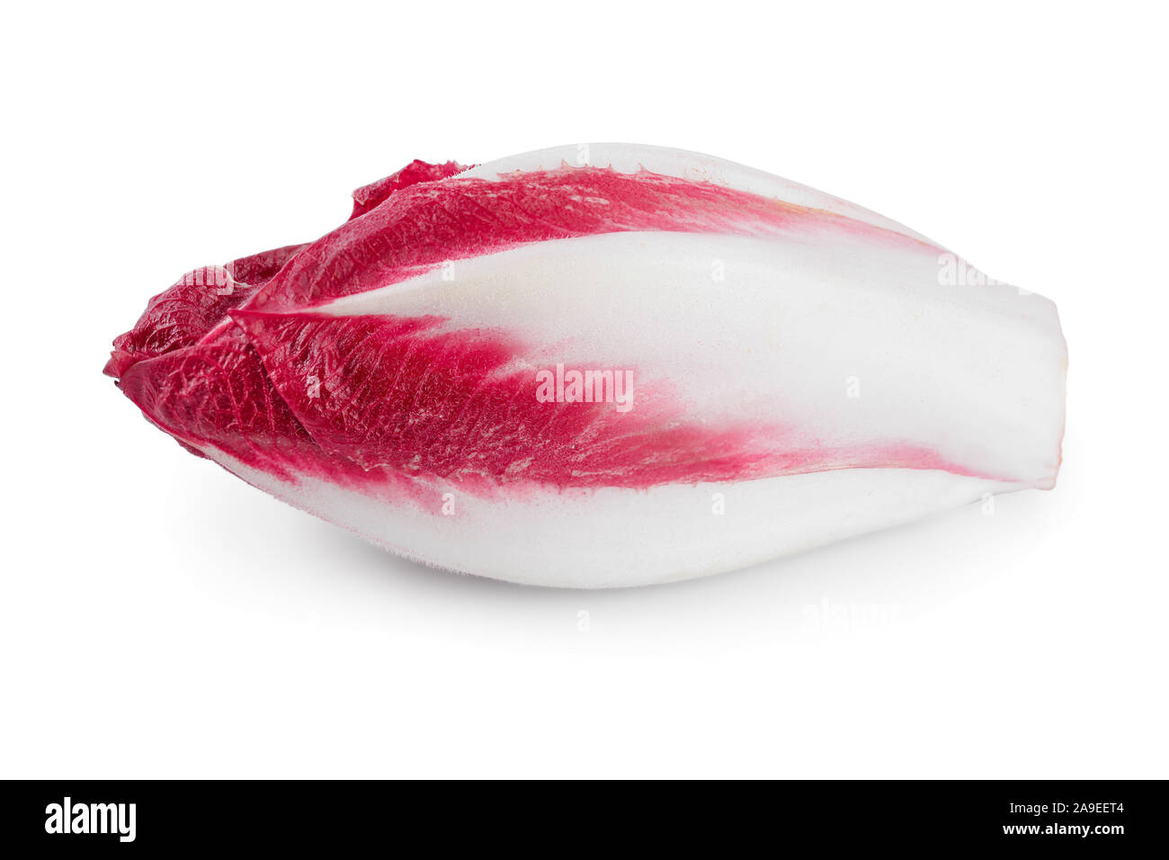 red chicory or radicchio isolated on white background Stock Photo - Alamy