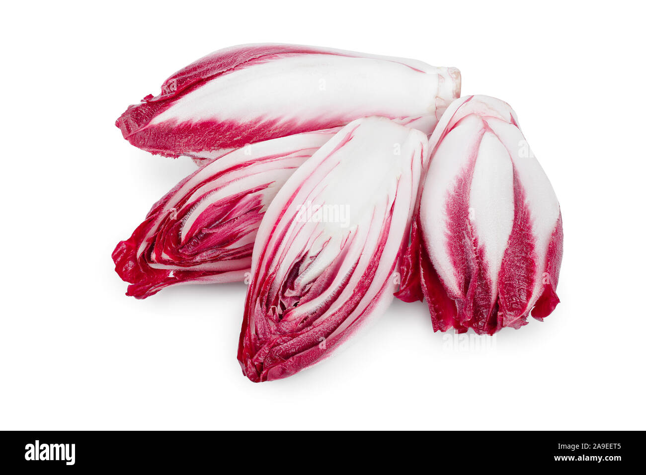 red chicory or radicchio isolated on white background Stock Photo - Alamy