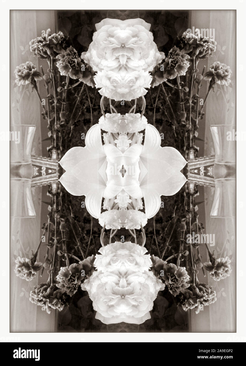 Digital composite overlap hi-res stock photography and images - Alamy