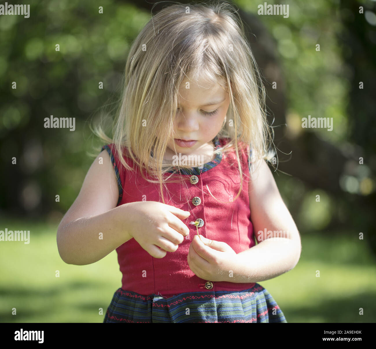Child playing with daisies Stock Photo - Alamy