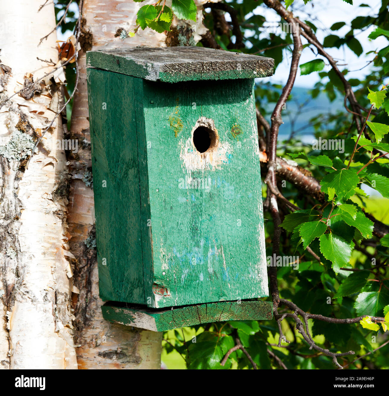 Green nest box hi-res stock photography and images - Alamy