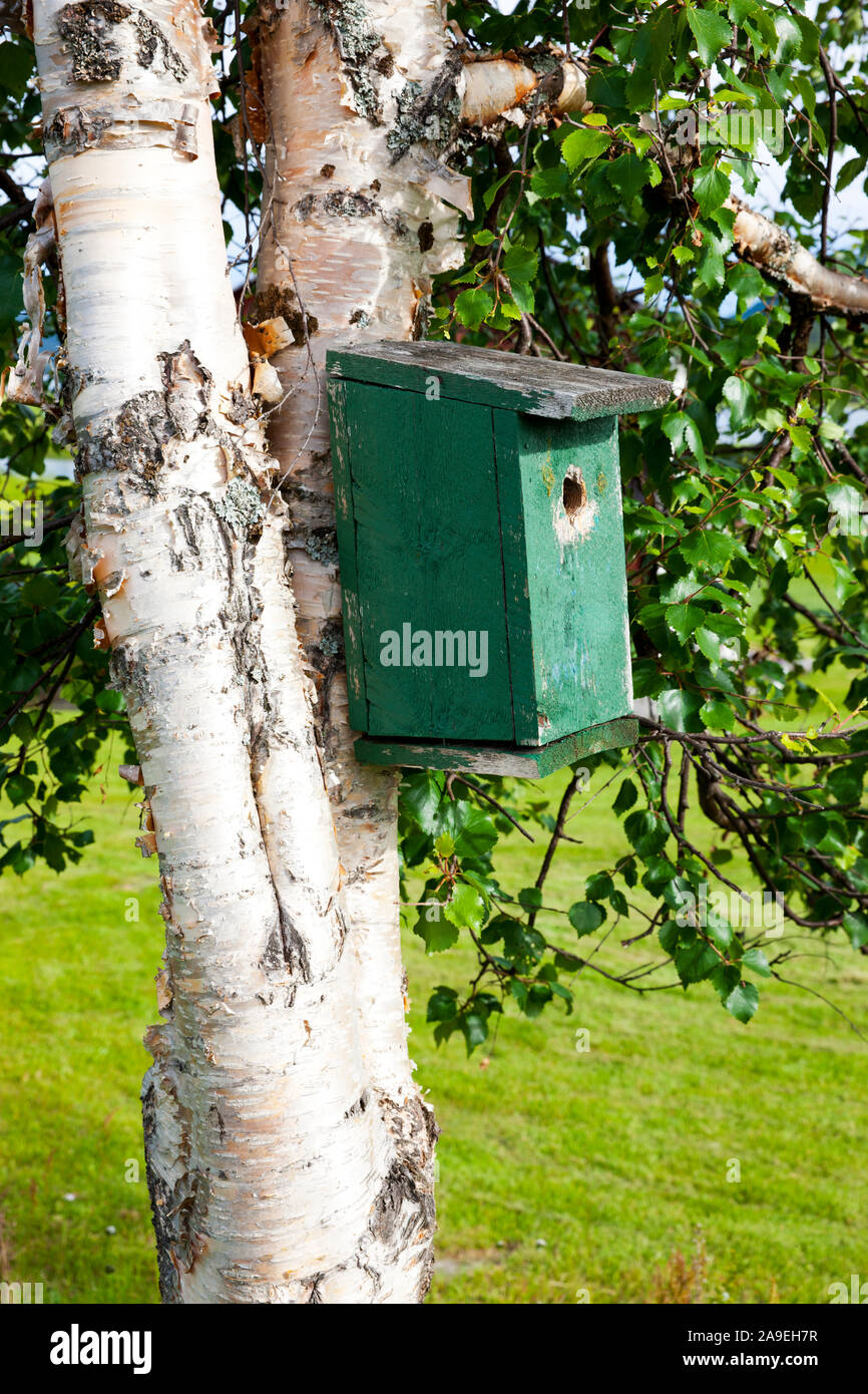 Brood boxes hi-res stock photography and images - Alamy