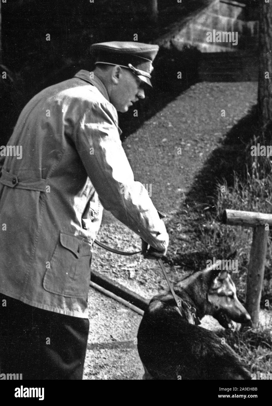 Ww ii dog hi-res stock photography and images - Alamy