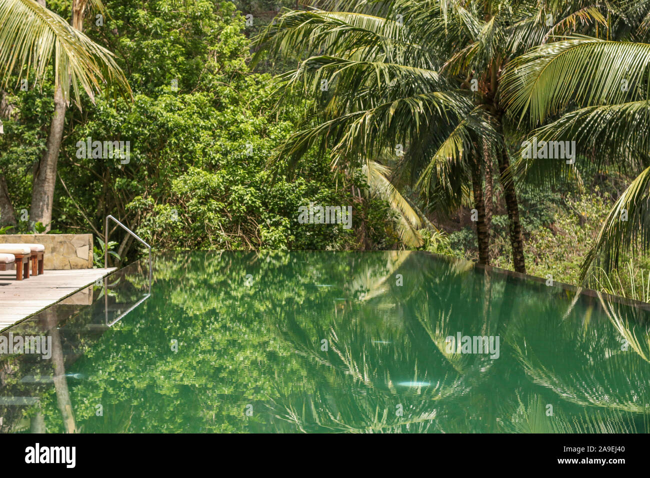 Beautiful infinity pool in a tropical garden, a relaxation area for ...