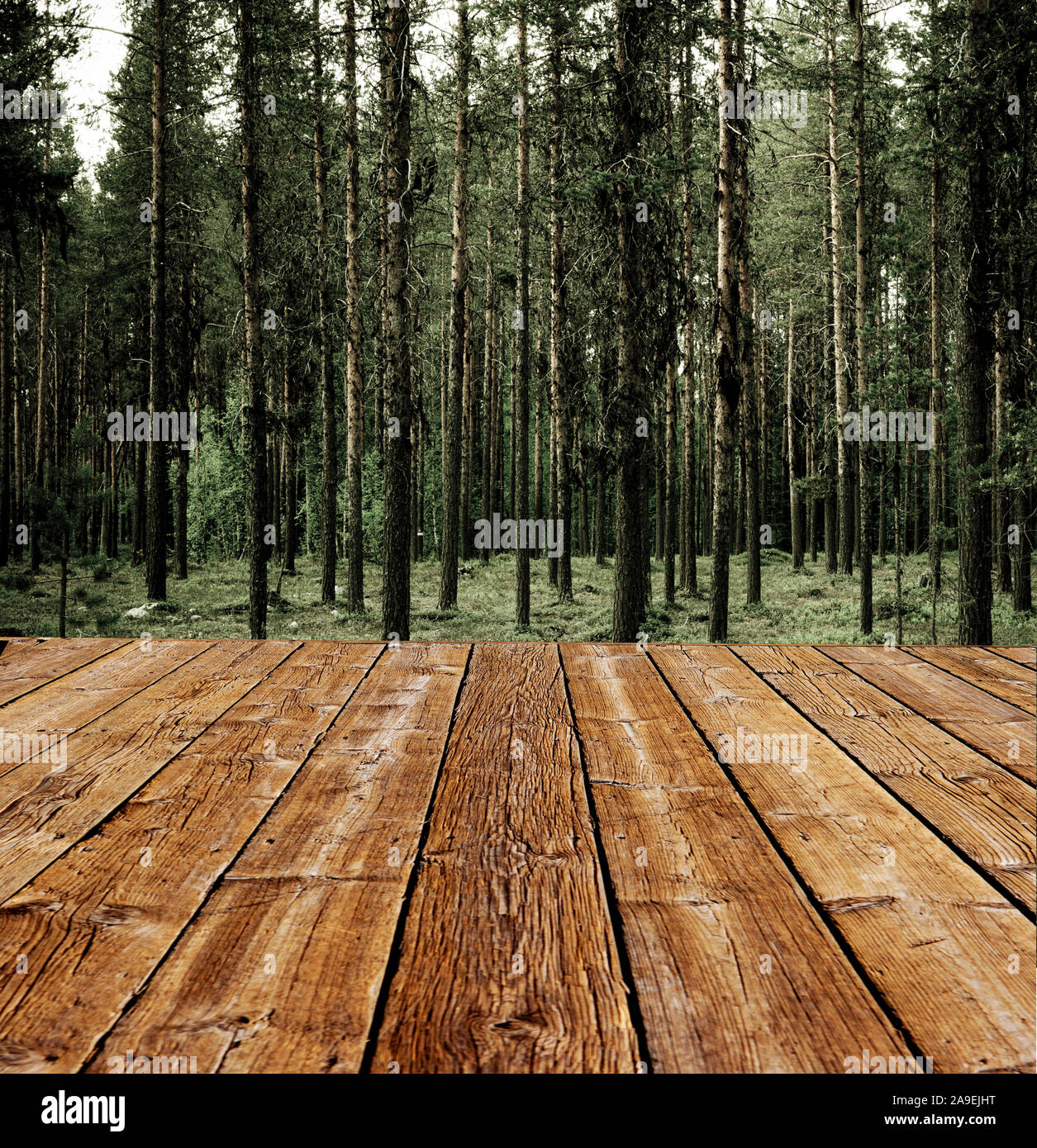 Foresters houses hi-res stock photography and images - Alamy