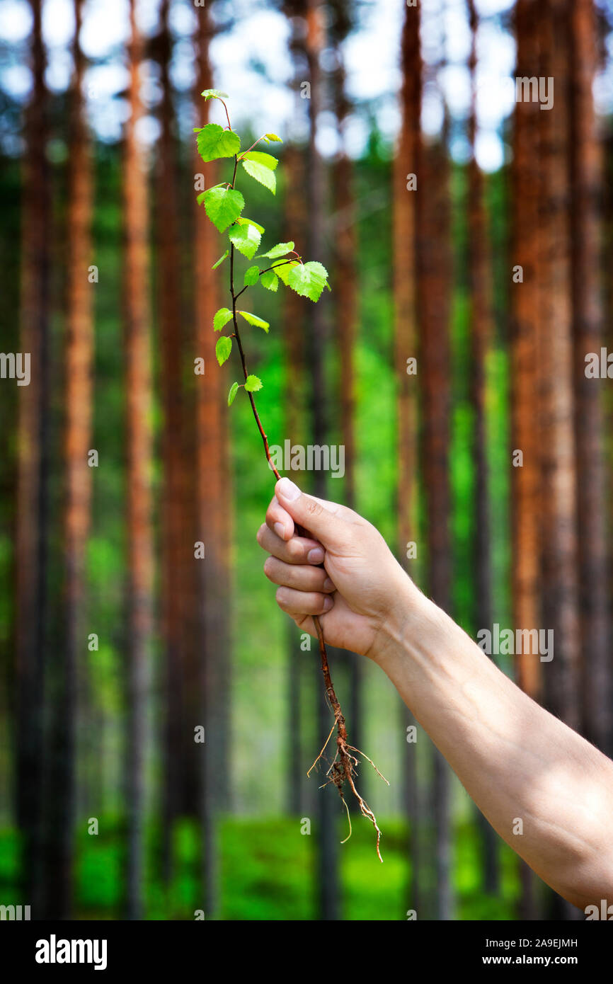 Very little clearance hi-res stock photography and images - Alamy