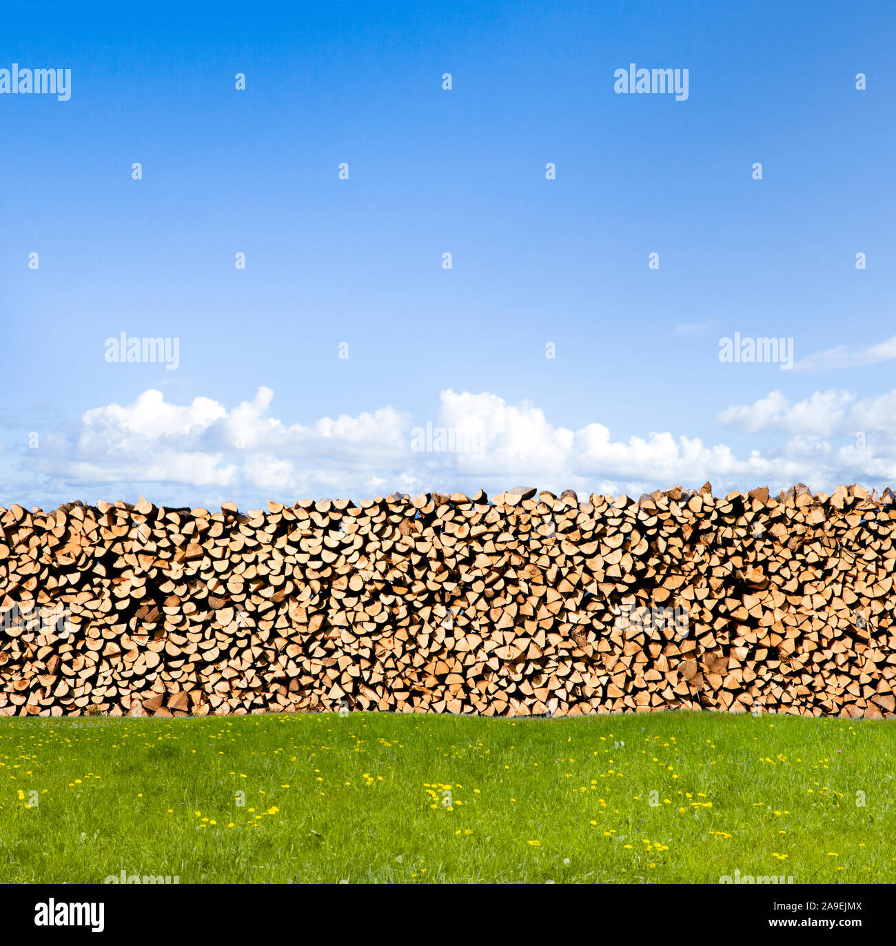 Log piling hi-res stock photography and images - Alamy