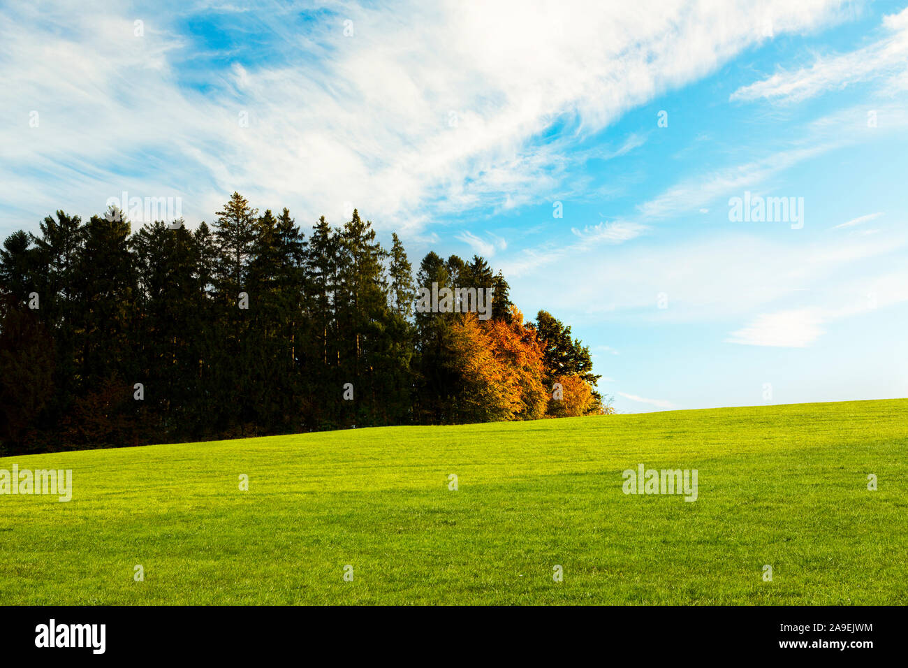 Autumnally discoloured hi-res stock photography and images - Alamy