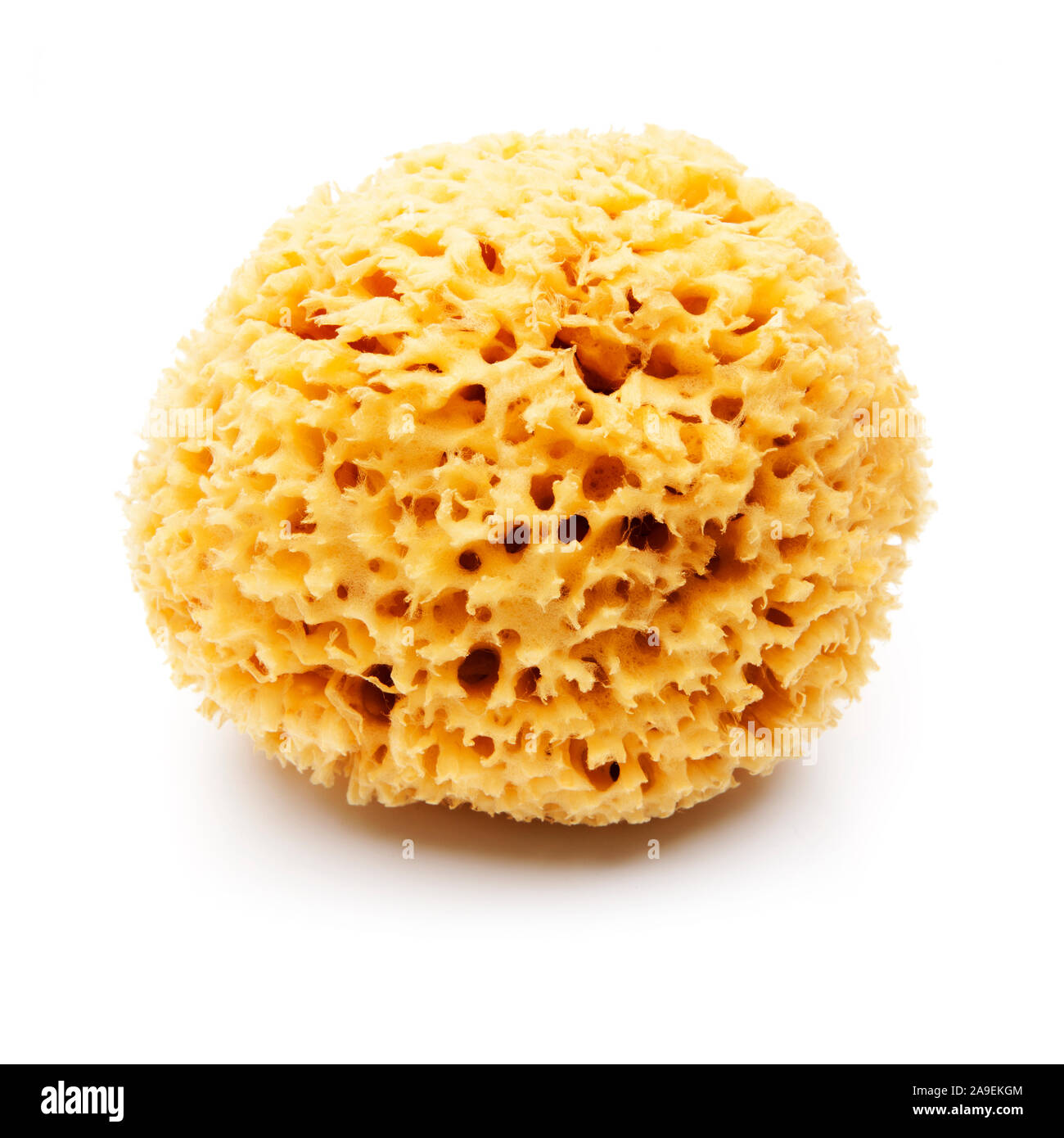 Taking showers hi-res stock photography and images - Alamy