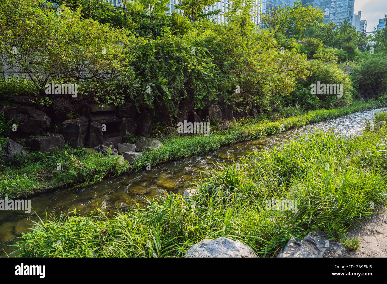 Cheonggyecheon stream in Seoul, Korea. Cheonggyecheon stream is the ...