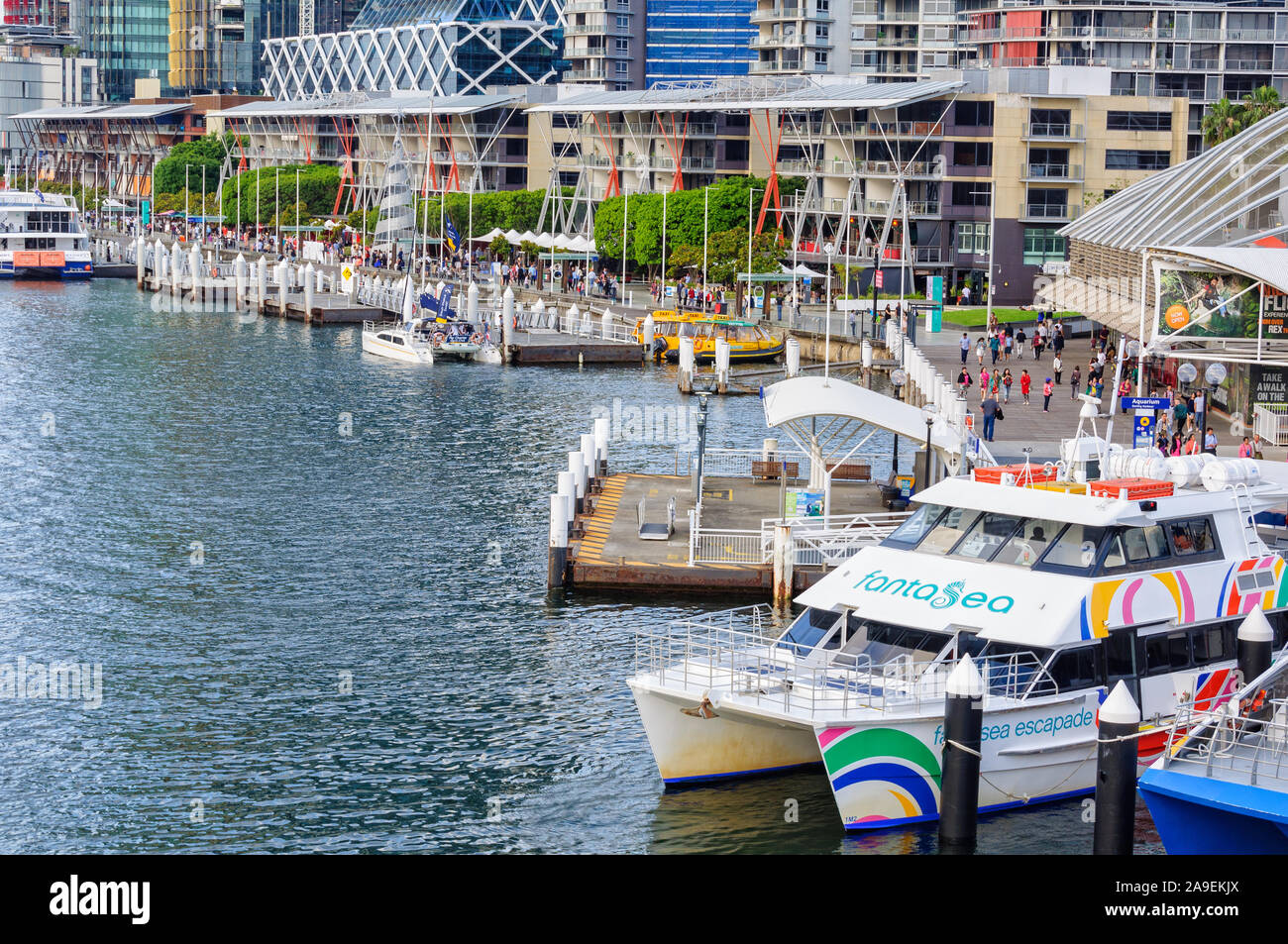 Aquarium Wharf next to the historic Pier 26 and in font of the Sea Life ...