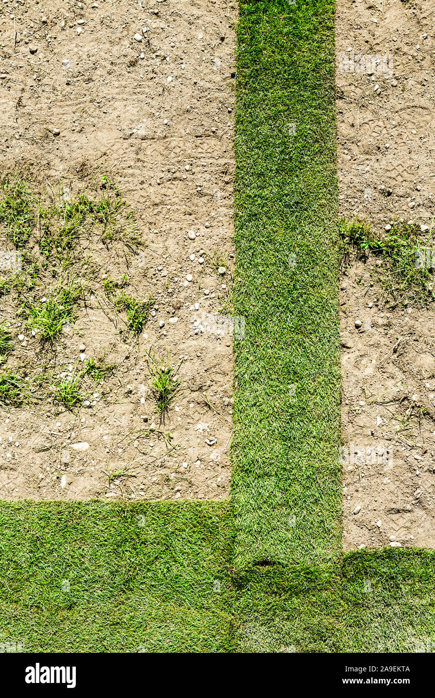 Turf horticulture hi-res stock photography and images - Alamy