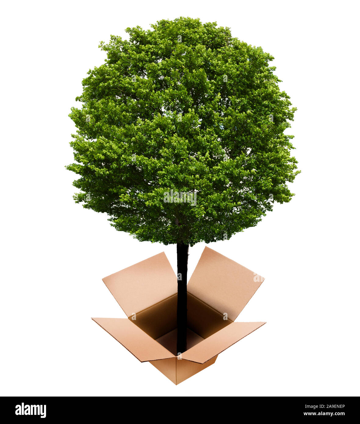 Big empty growing space hi-res stock photography and images - Alamy