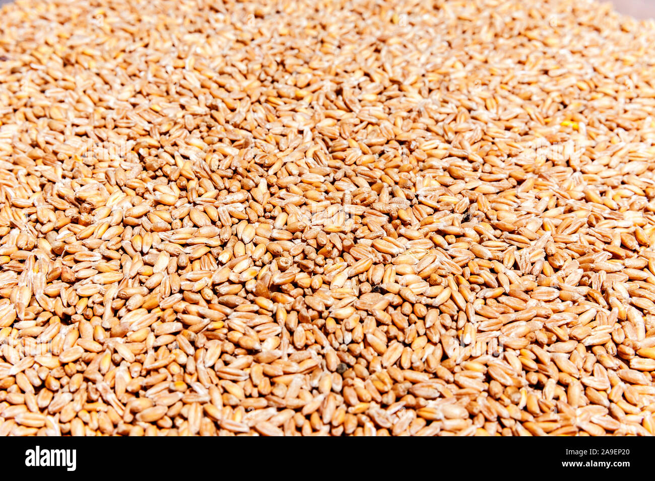 Wholesome grains hi-res stock photography and images - Alamy