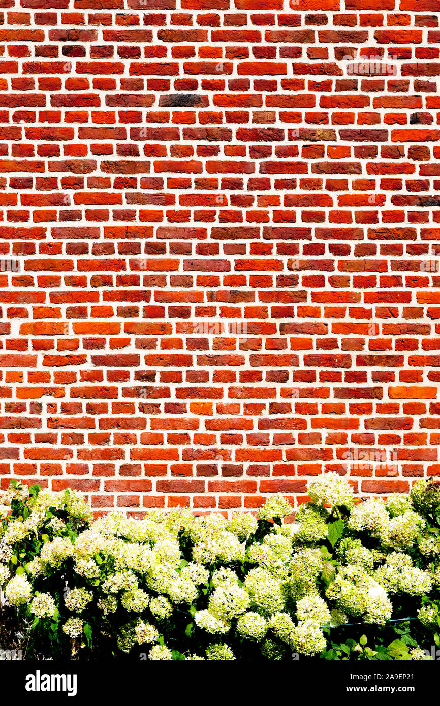 Brick walls flowerbeds hi-res stock photography and images - Alamy