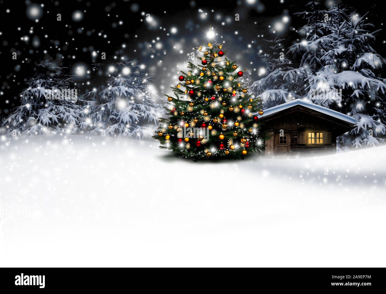 Tree huts hi-res stock photography and images - Alamy