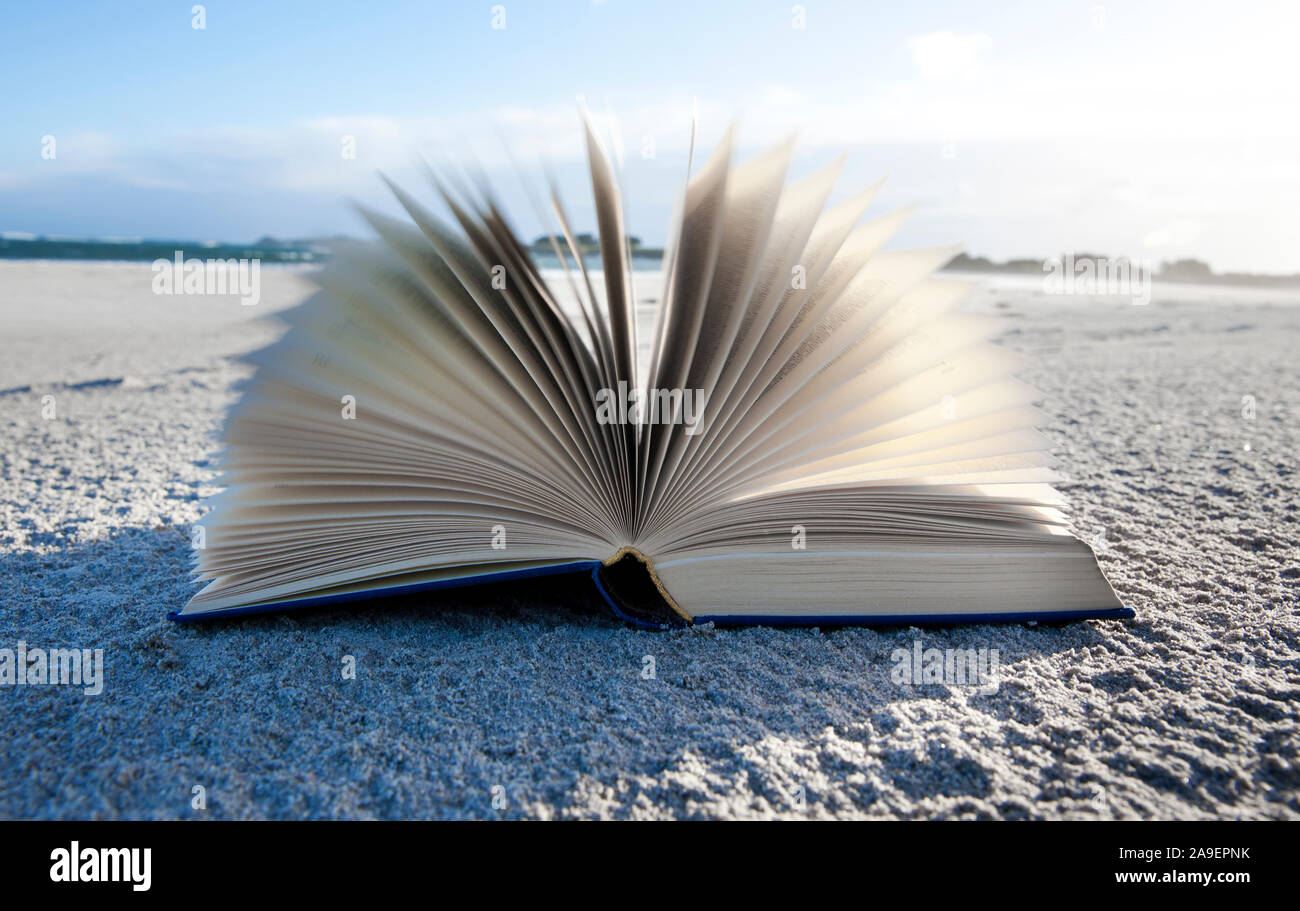 Beach seaside solitary reading alone hi-res stock photography and ...