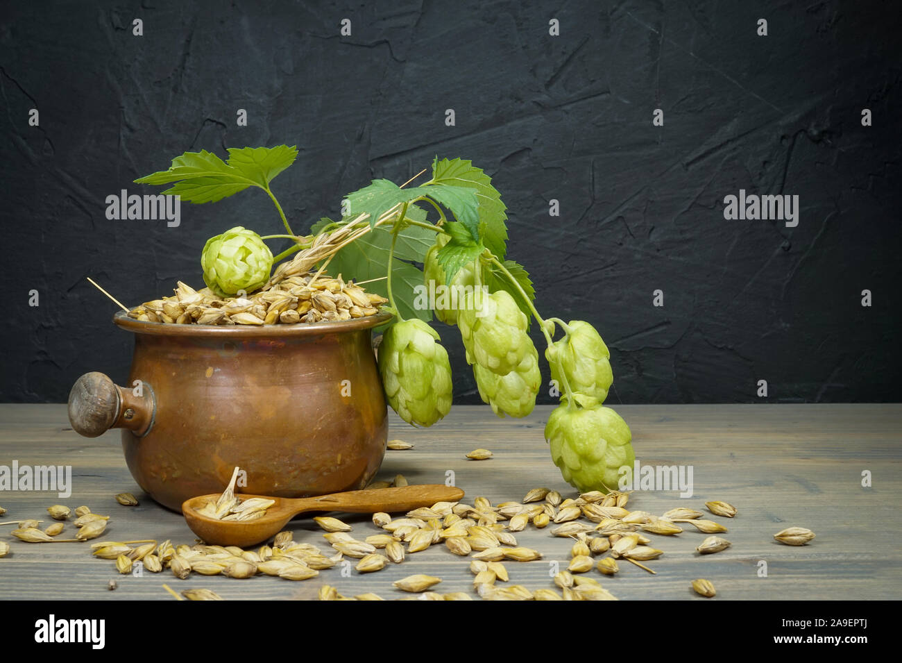 Hops crop pint hi-res stock photography and images - Alamy