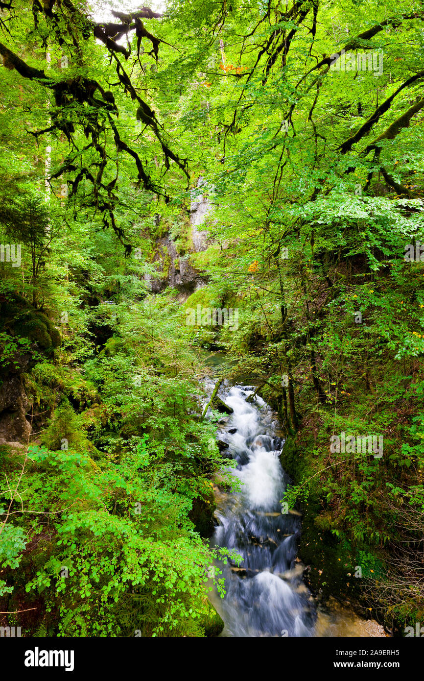 Creek brook source hi-res stock photography and images - Alamy
