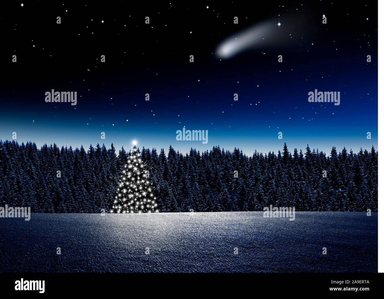 Luminous christmas tree in the forest Stock Photo - Alamy