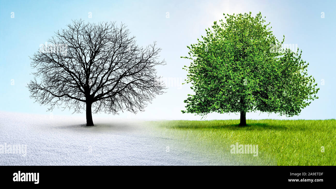 Winter to spring transition hi-res stock photography and images - Alamy