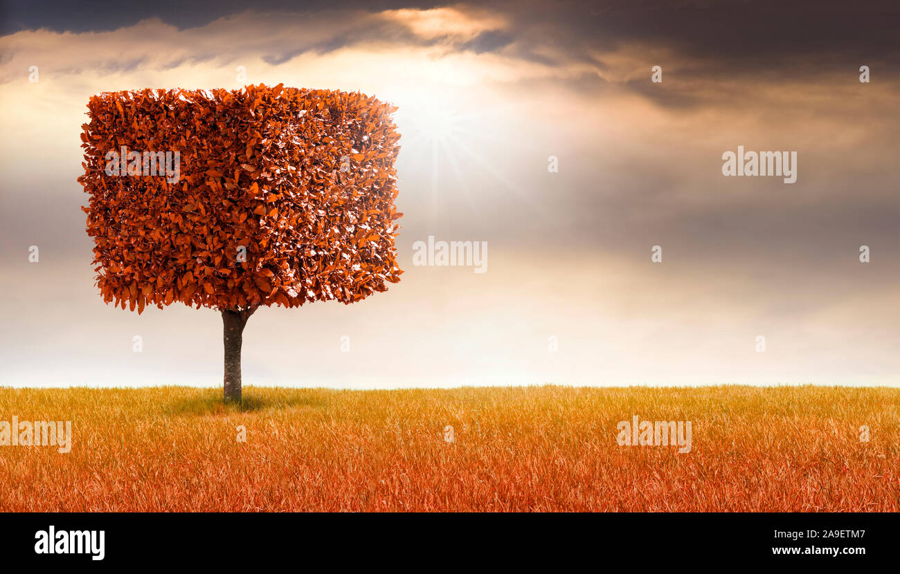 Tree dice hi-res stock photography and images - Alamy