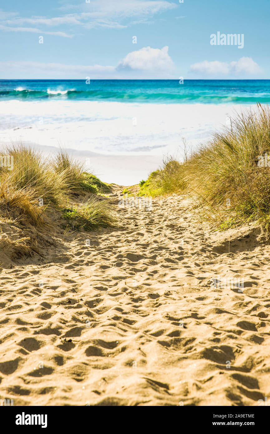 Way to the beach Stock Photo - Alamy