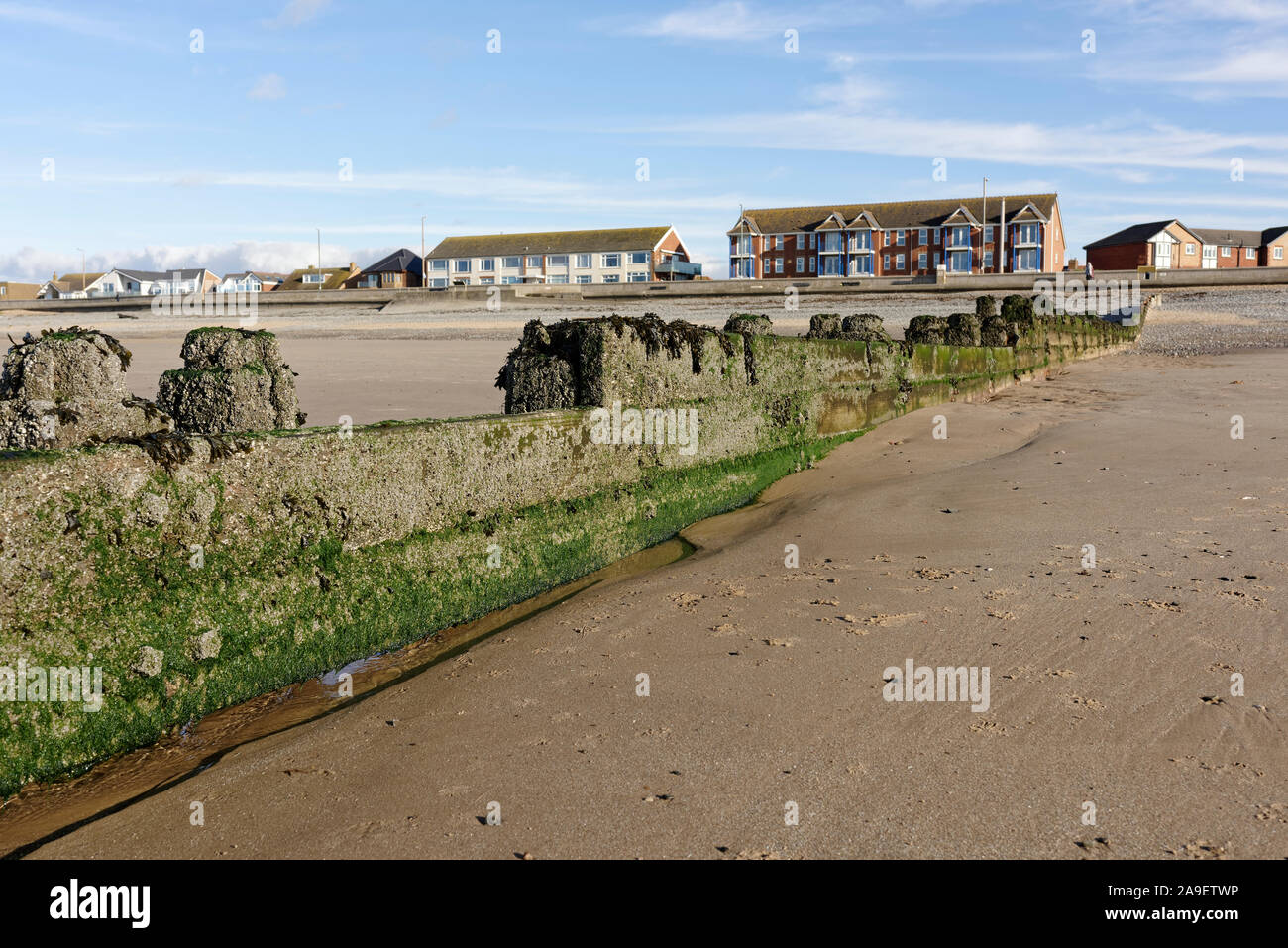 Marine growth hi-res stock photography and images - Alamy