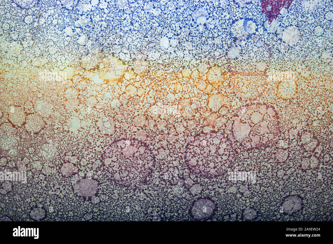 texture of water droplets on printing paper of graphic art Stock Photo ...