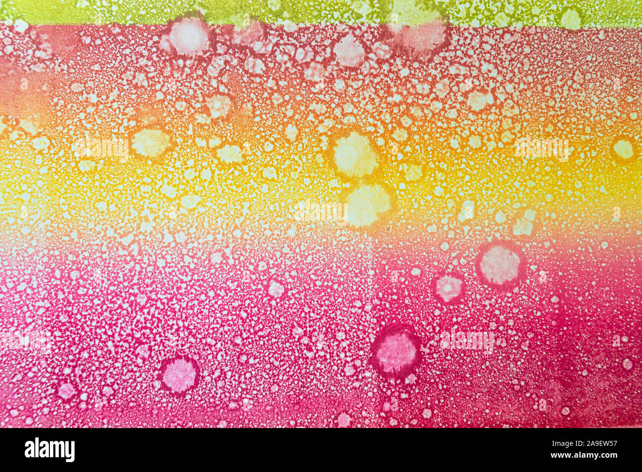 texture of water droplets on printing paper of graphic art Stock Photo ...