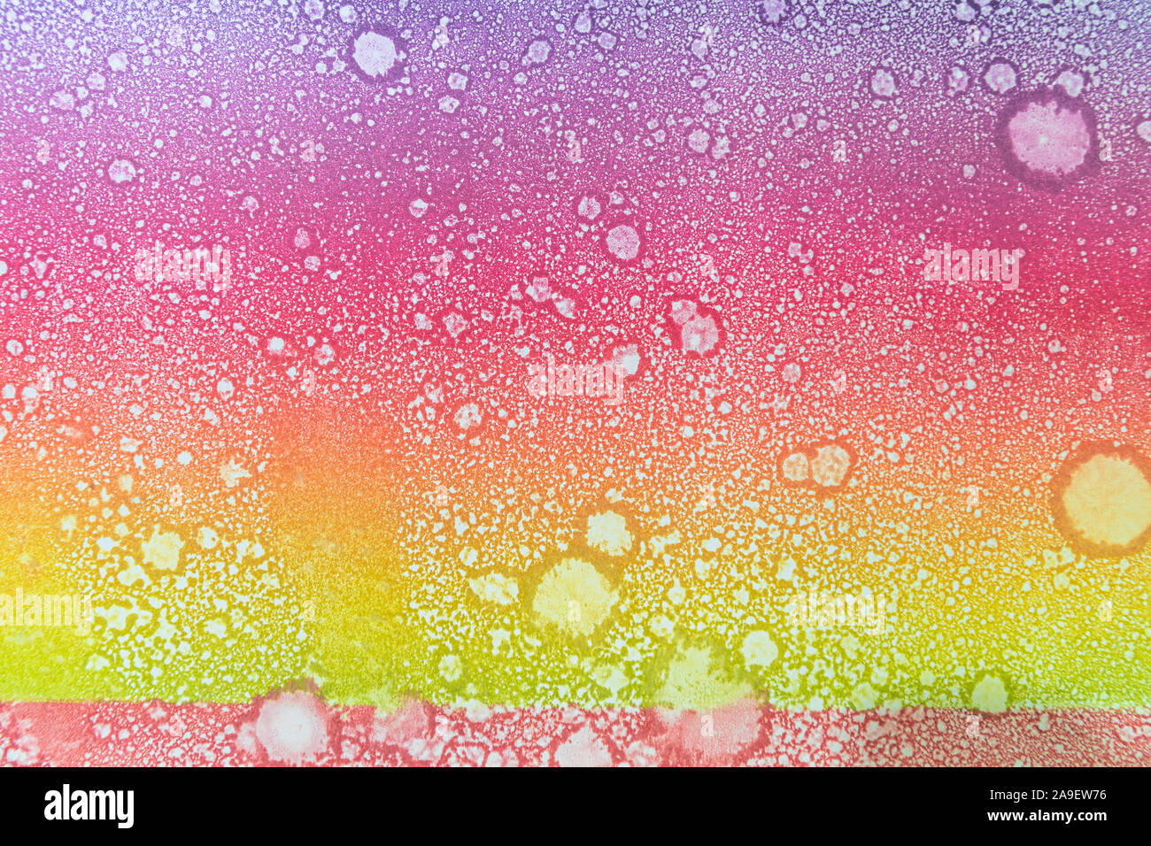 texture of water droplets on printing paper of graphic art Stock Photo ...