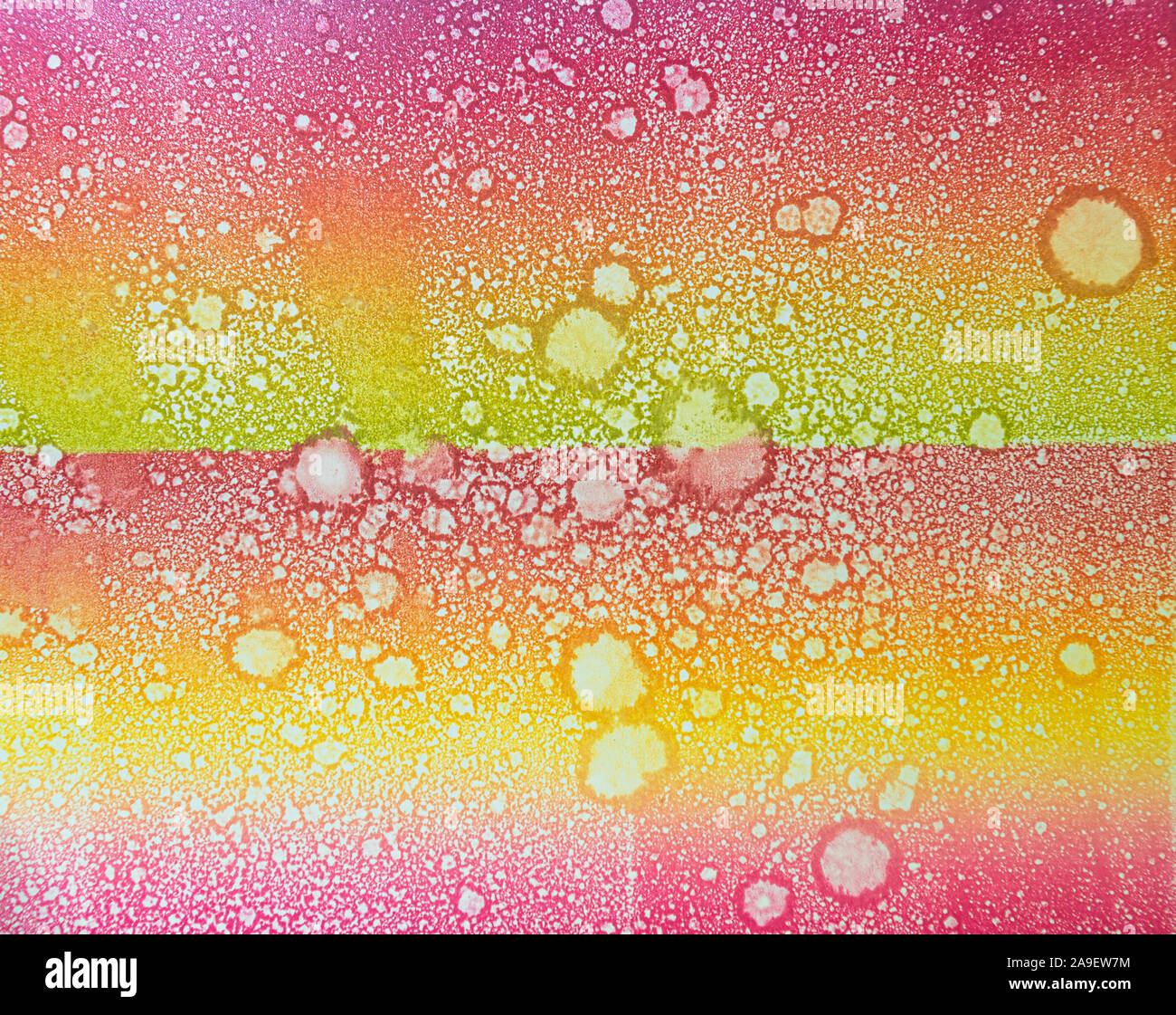 Roller printing template hi-res stock photography and images - Alamy