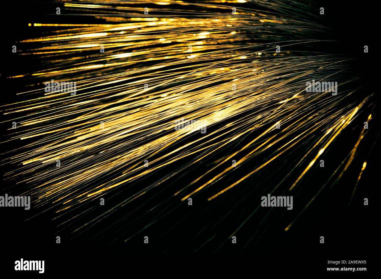 Golden illumination hi-res stock photography and images - Alamy