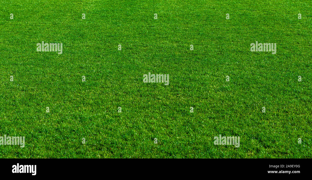 Turf amphitheatre hi-res stock photography and images - Alamy