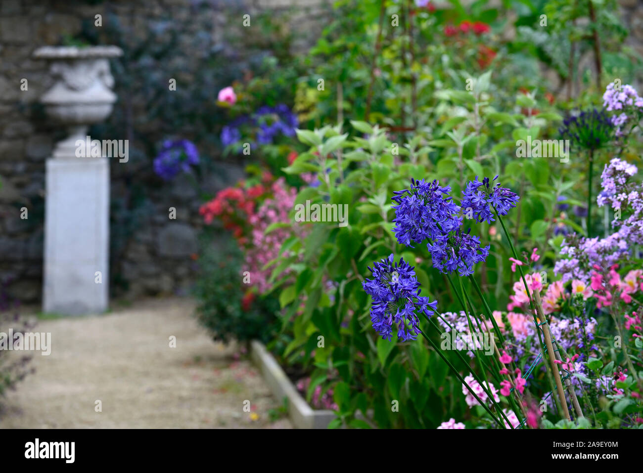 Helen dillon hi-res stock photography and images - Alamy