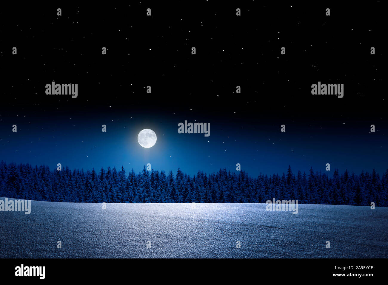 Night nighttime moon moonlight firmament hi-res stock photography and ...