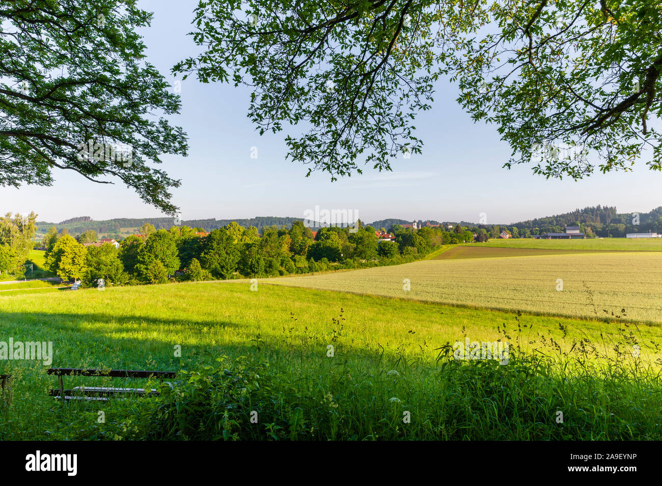 Castle of wolfegg hi-res stock photography and images - Alamy