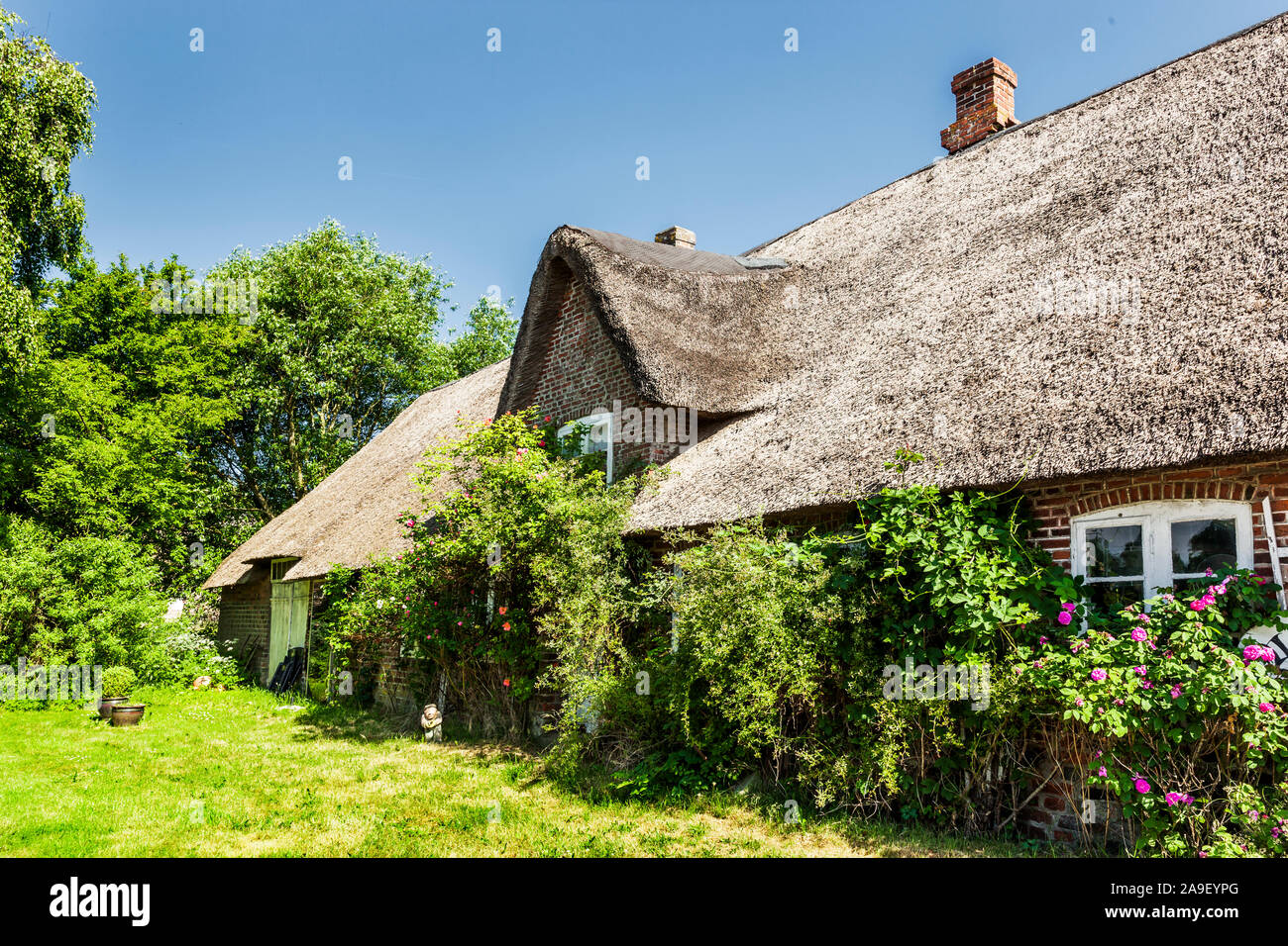 Thatched cottage dormer window hi-res stock photography and images - Alamy