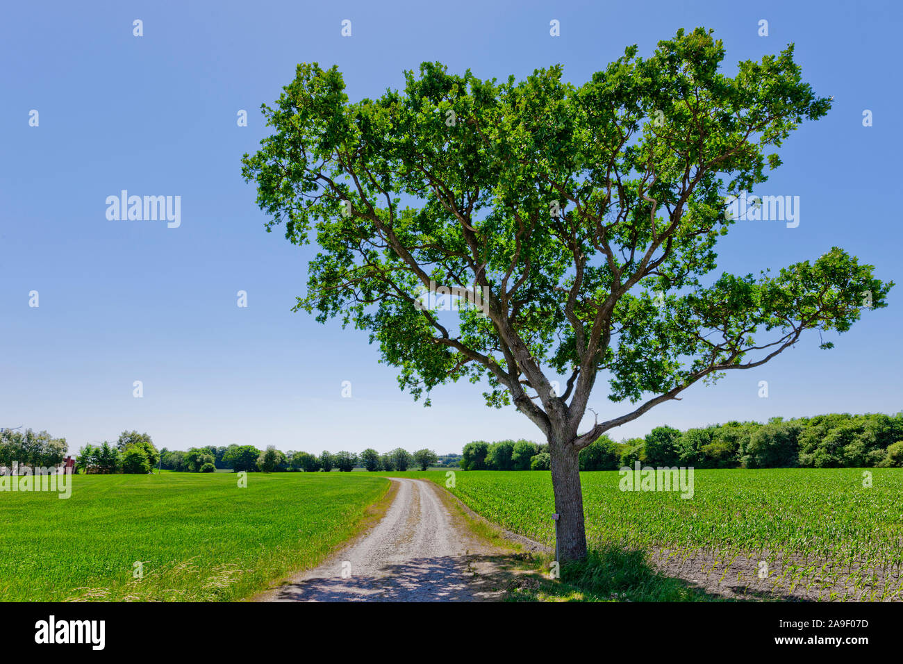Pathway route trail footpath mountain calm environment natural nature ...
