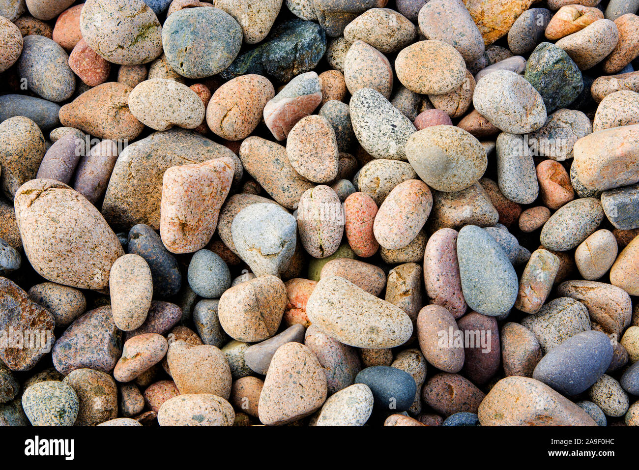 Grit pathway hi-res stock photography and images - Alamy