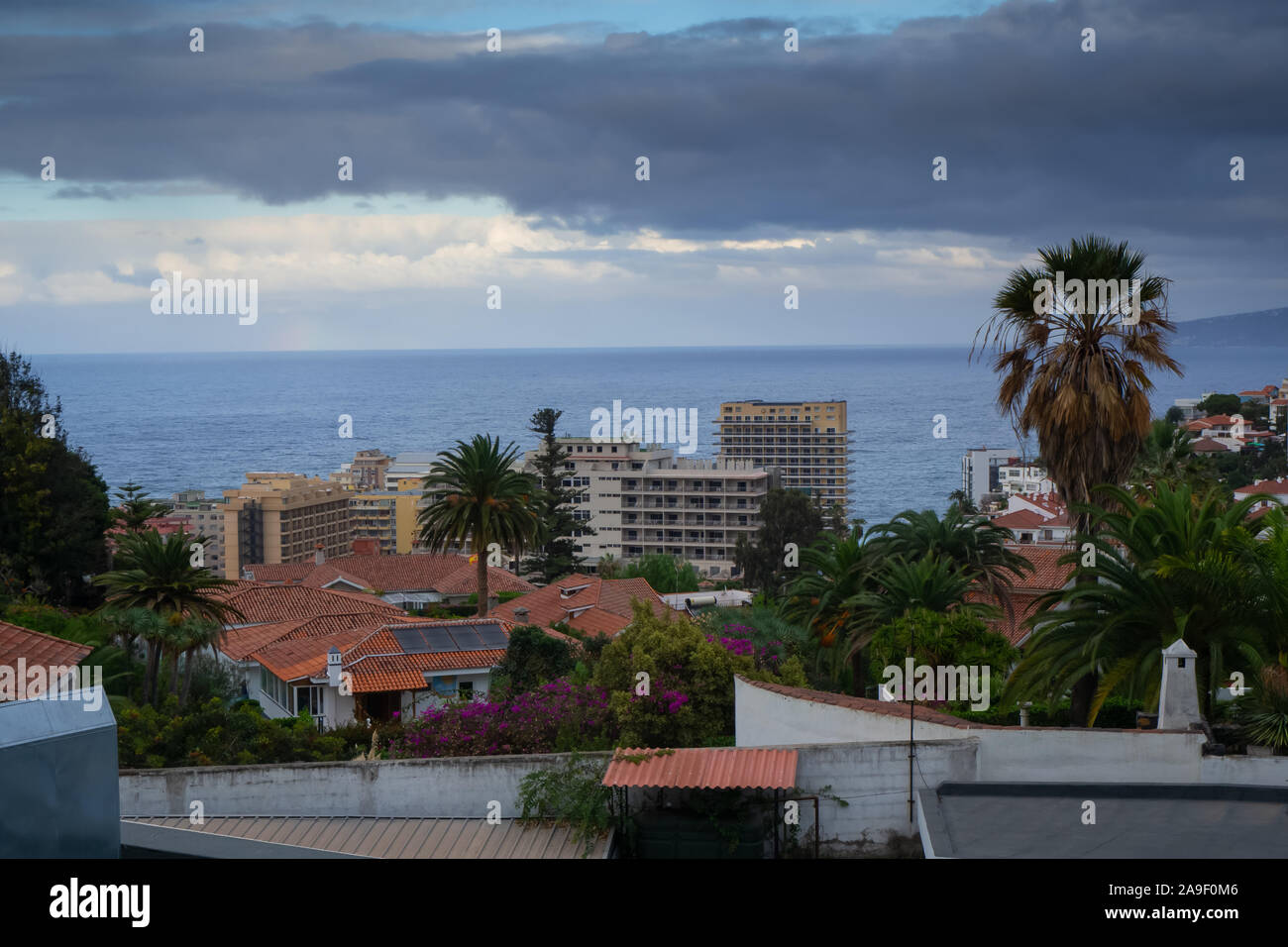 View over rooftops and palm trees to to blue ocean hi-res stock ...