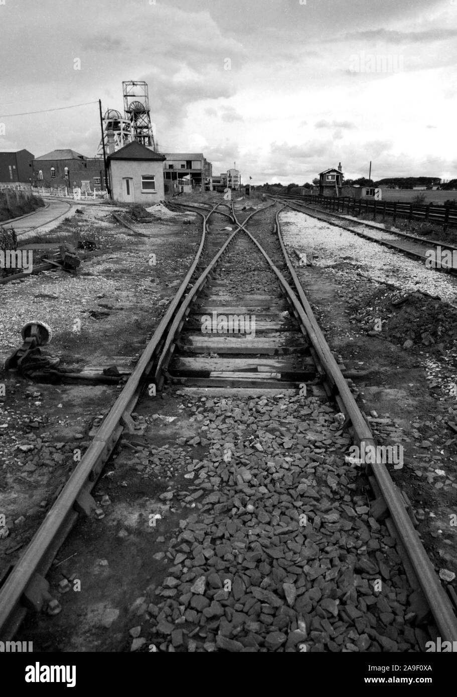 Fossil yorkshire Black and White Stock Photos & Images - Alamy