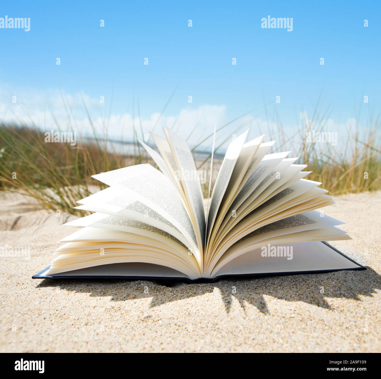 Beach book library hi-res stock photography and images - Alamy