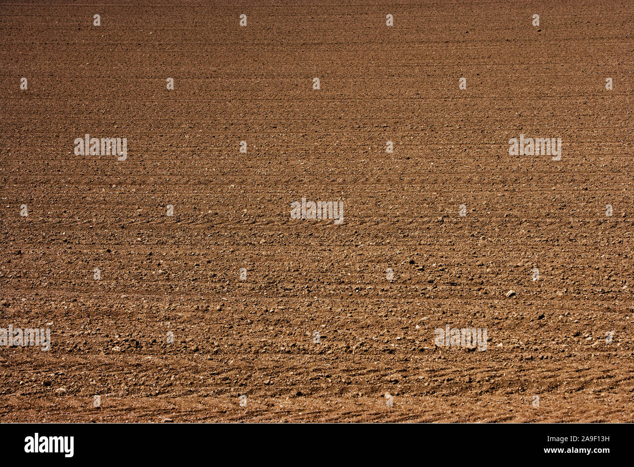 Fertile grounds hi-res stock photography and images - Alamy