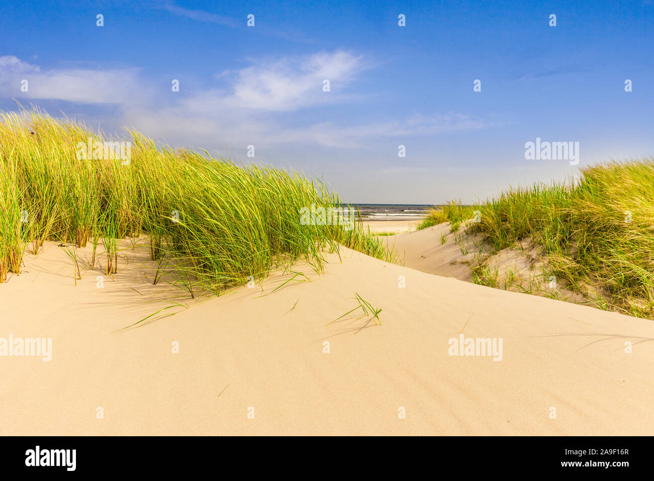 Empty dunes hi-res stock photography and images - Alamy