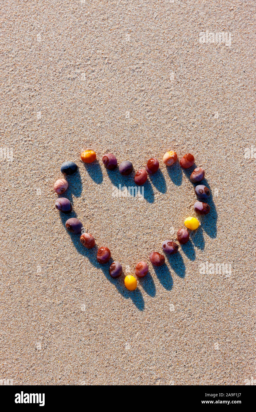 Heart of mussel shells hi-res stock photography and images - Alamy