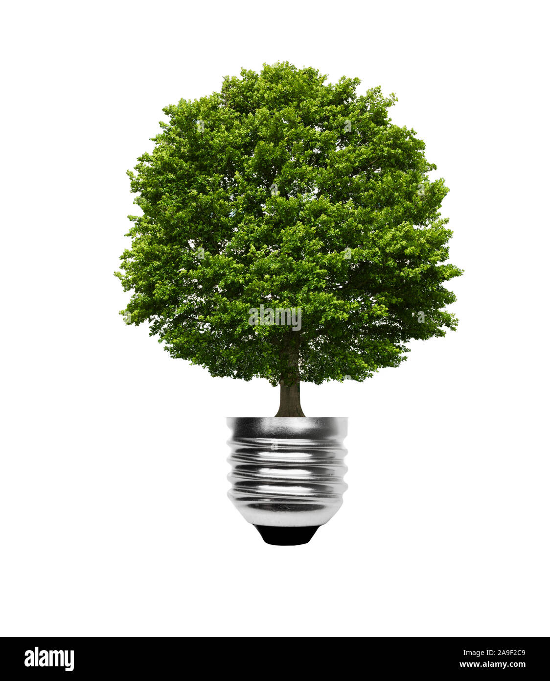 The tree lamps Cut Out Stock Images & Pictures - Alamy